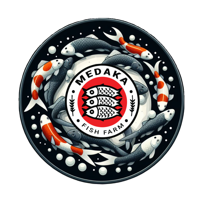 Medaka Fish Farm - Medaka Shop - Japanse Rijstvissen & Eieren te Koop