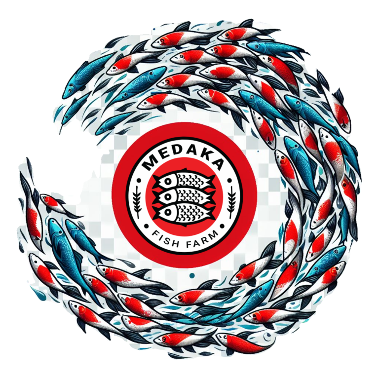 Medaka.nl - Premium Medaka Visvoer voor Rijstvissen