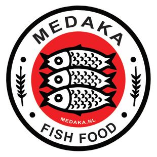 Waar hou je Medaka het beste: binnen of buiten? - Medaka.nl